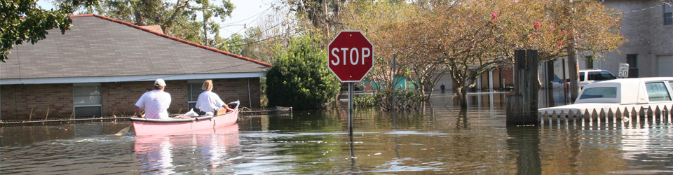 DTL Global | News | The Latest Natural Disaster News